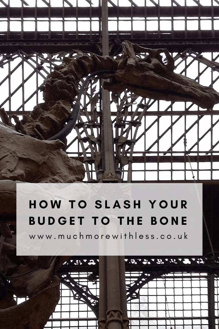 How to slash your budget to the bone - Much More With Less